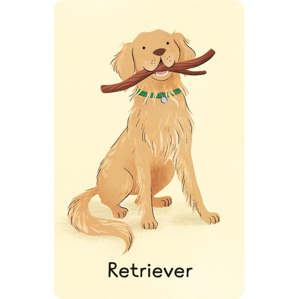 Snap Dog Board Game – SuperOffice